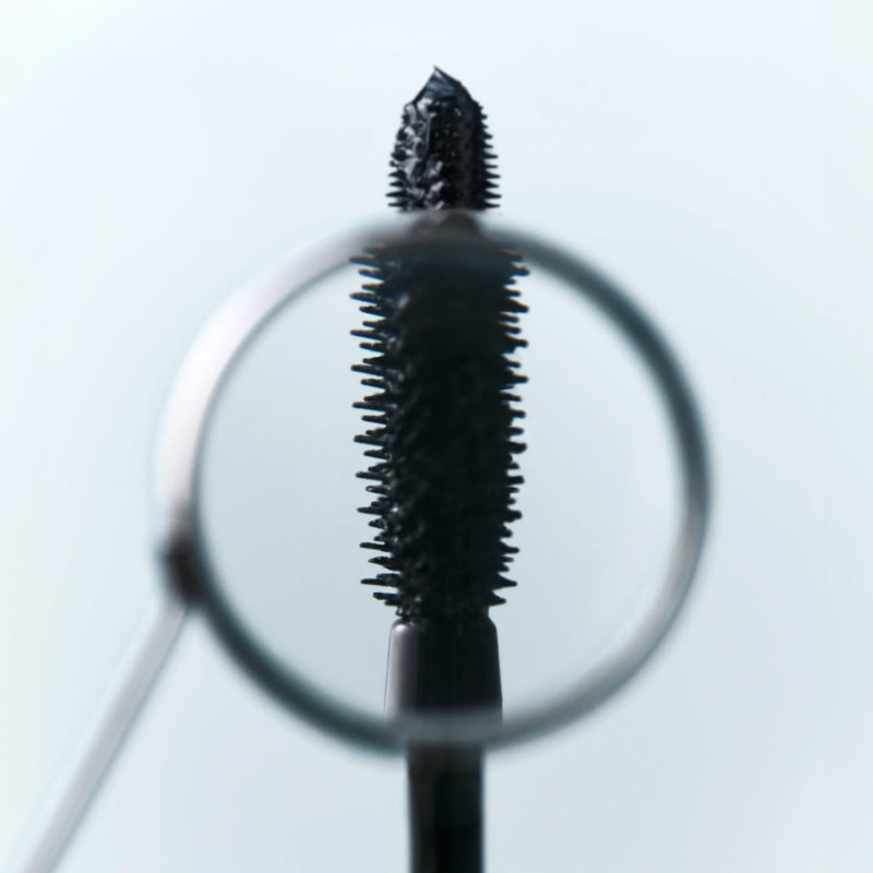 MERIT Clean Beauty & Maquillage minimaliste | MERIT Official Site ...